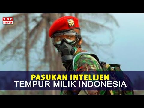 Inilah Pasukan Intelijen Tempur Super Rahasia di Dunia, Ada Dari ...
