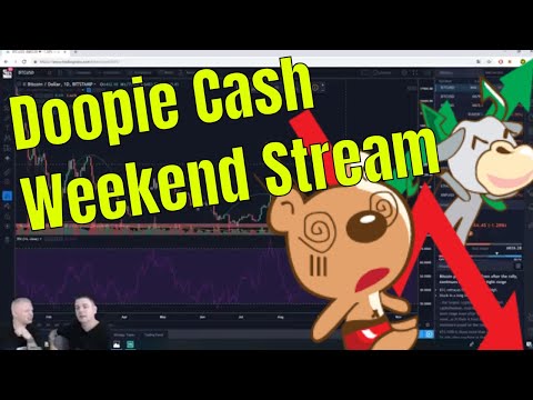 ? Doopie Cash Weekend Stream ? | Bitcoin nieuws & Koers update ...