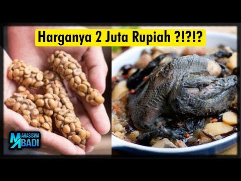 Ada di Indonesia !!! INILAH 4 MAKANAN PALING MAHAL DI ASIA TENGGARA ...