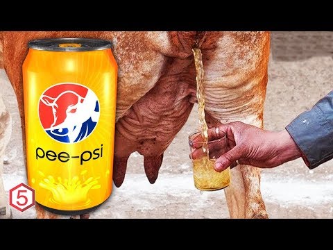 Ada-ada aja , Di INDIA diproduksi Minuman Bersoda dari Pipis sapi ...