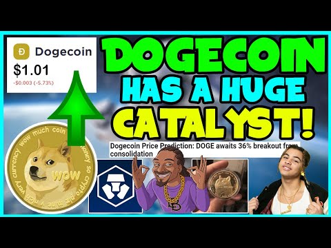 *FAST* DOGECOIN IS GETTING MASSIVE CATALYST! (BUY NOW OR REGRET?) Elon ...