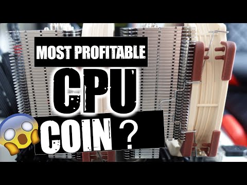 Most Profitable CPU MINING Coin? CPU 3 Way Race | Coin Crypto News