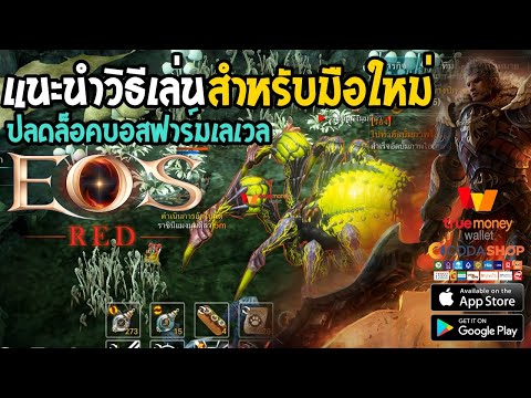EOS RED Mobile เกมมือถือ MMORPG แนะนำวิธีเล่นสำหรับมือใหม่ ปลดล็อคบอส ...